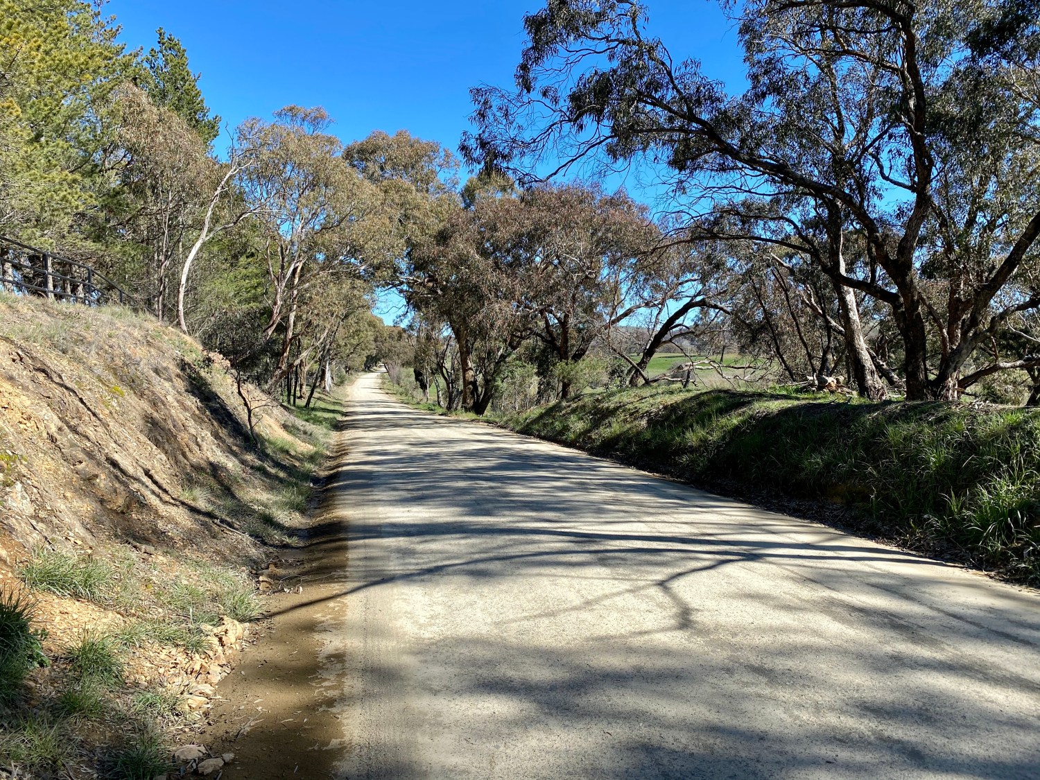 Gundaroo gravel – CyclingGravel
