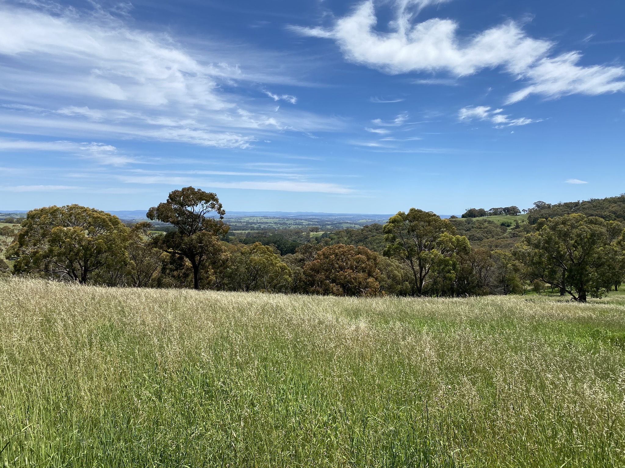 Mount Canobolas – CyclingGravel