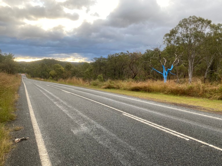 Flash bikepacking the Kilkivan to Kingaroy & Brisbane Valley Rail ...